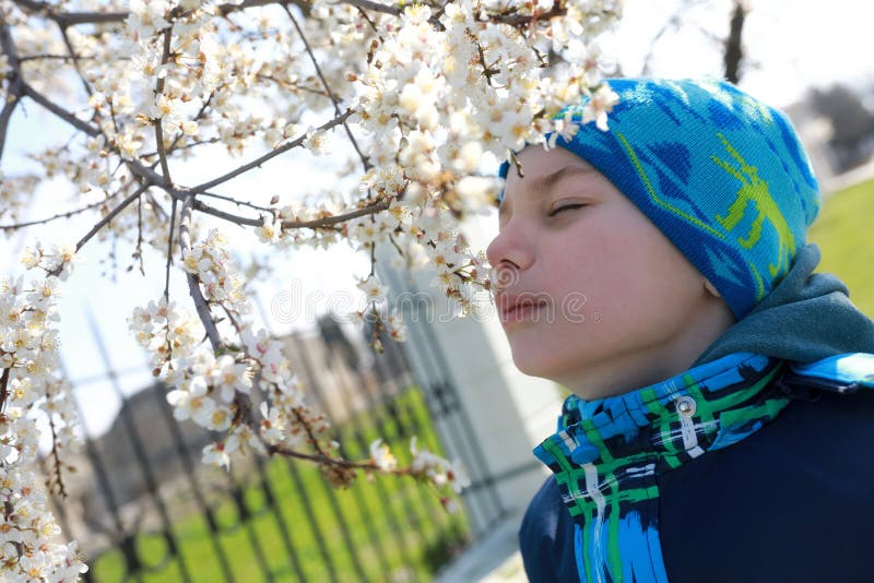 Kid Smelling Blooming Apple Tree Stock Photo - Image of light, bloom ...