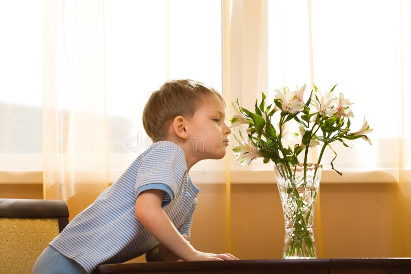 Kid smells a bouquet stock photo. Image of table, sunlight - 4796958