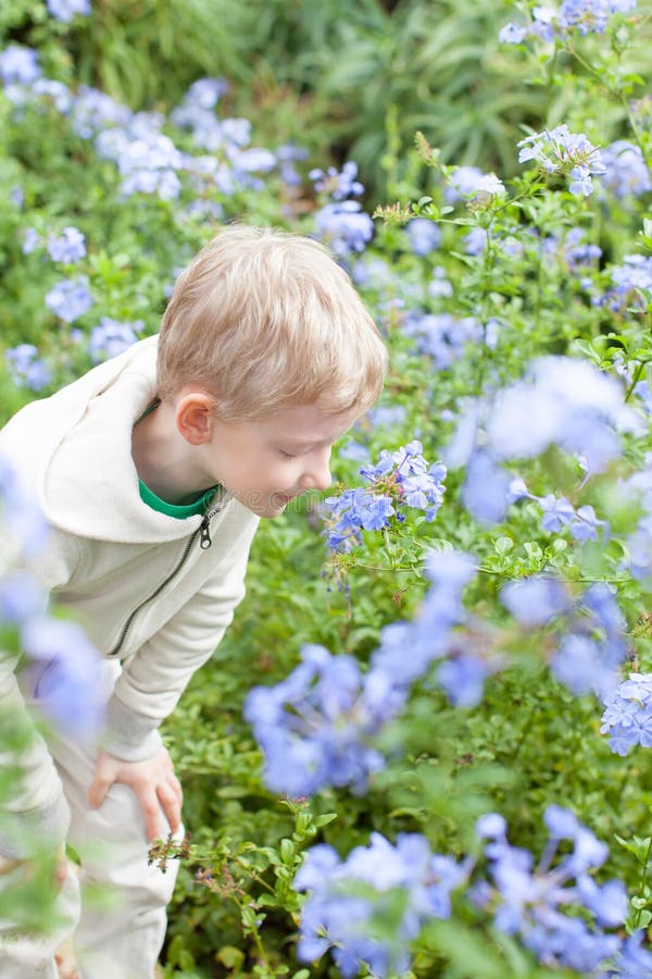 Kid at spring stock photo. Image of child, flower, cheerful - 47719186
