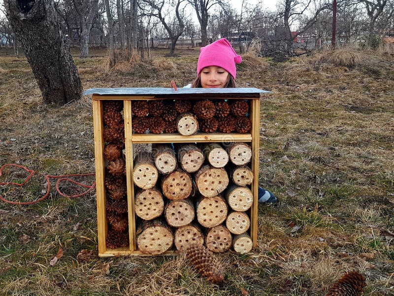 Kid Taking Care of a Bug, Hotel Stock Photo - Image of bamboo, child ...