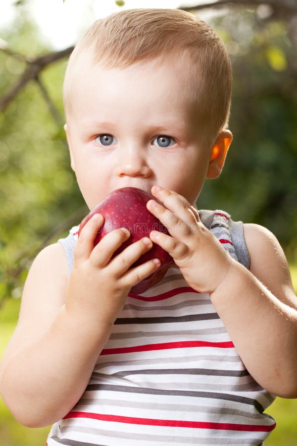 Kid is Trying To Have a Red Apple Stock Photo - Image of kiddy, healthy ...