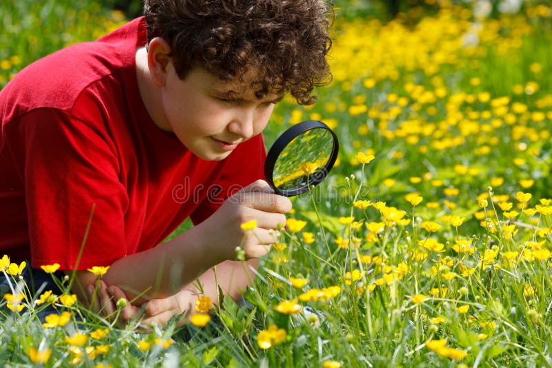 Kid using magnifying glass stock photo. Image of inspection - 24304956 Kid using magnifying glass stock photo. Image of inspection - 24304956