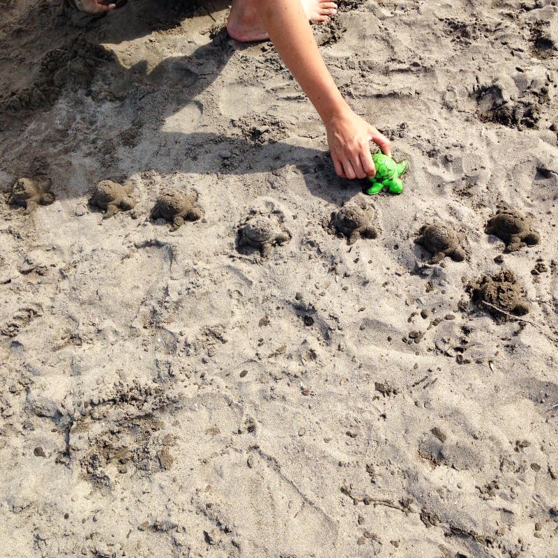 Silicone Turtle Stock Photos - Free & Royalty-Free Stock Photos from ...