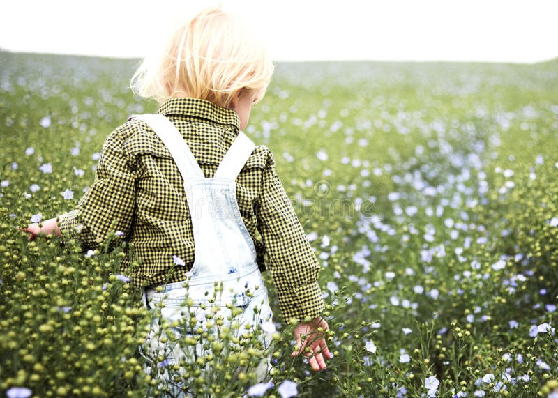 Kid walking in the field stock image. Image of outdoors - 101524555
