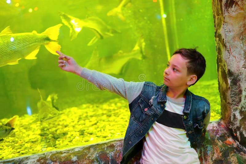 Kid Watching Fish in Aquarium Stock Photo - Image of oceanarium, life ...