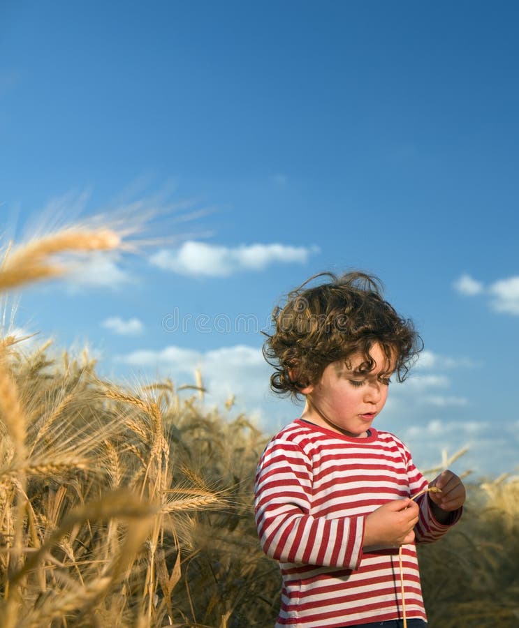 Kid in wheat field stock image. Image of august, nature - 5096337
