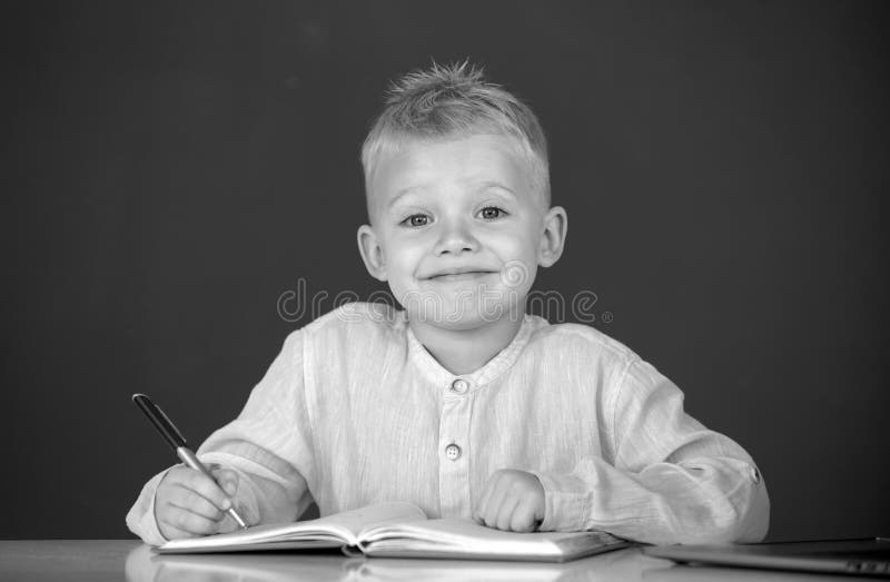 Kid Writing in Notebook in Class. Portrait of Funny Pupil of Primary ...