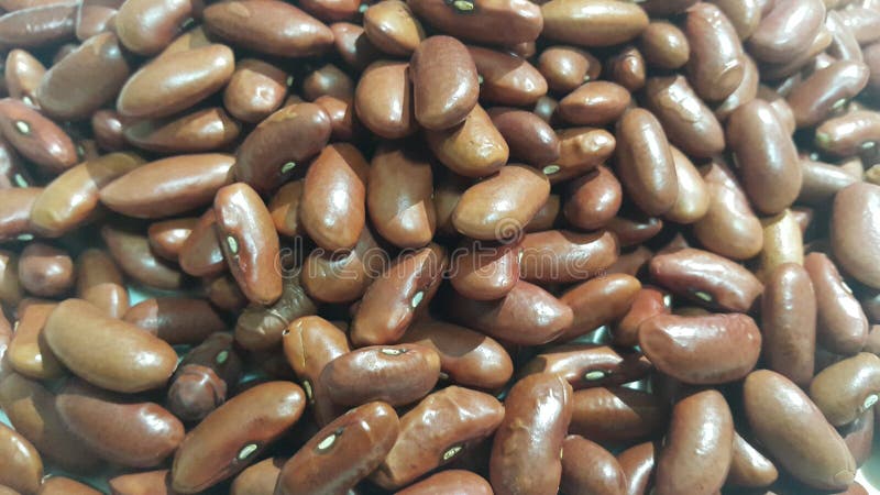 Kidney Beans: Closeup View of Uncooked Red Kidney Beans Stock Photo ...