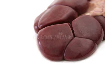 306 Kidney Cow Stock Photos - Free & Royalty-Free Stock Photos from ...