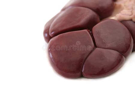 301 Kidney Cow Stock Photos - Free & Royalty-Free Stock Photos from ...