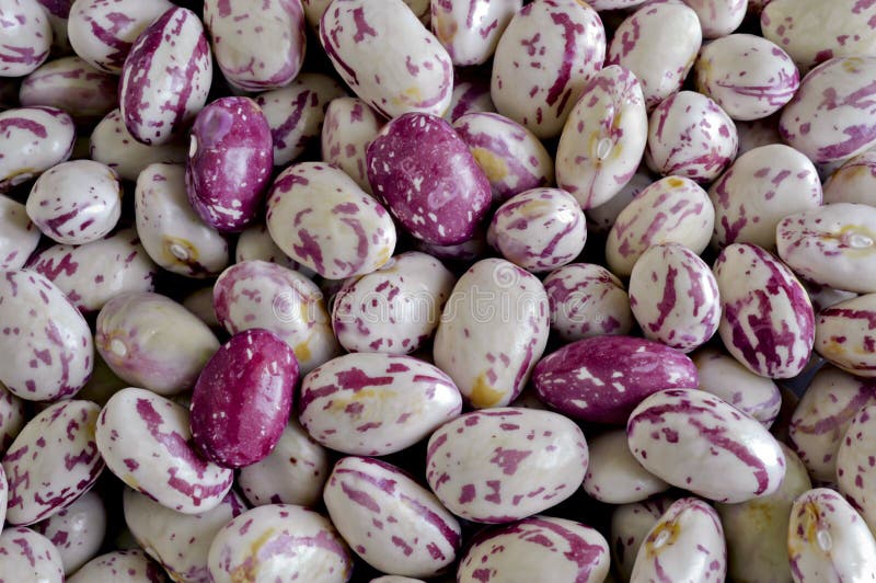 Kidney bean, macro stock photo. Image of group, nourishment - 21644200