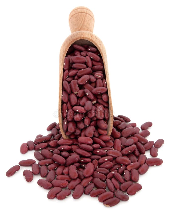 Red kidney beans stock image. Image of macro, beans - 102105261