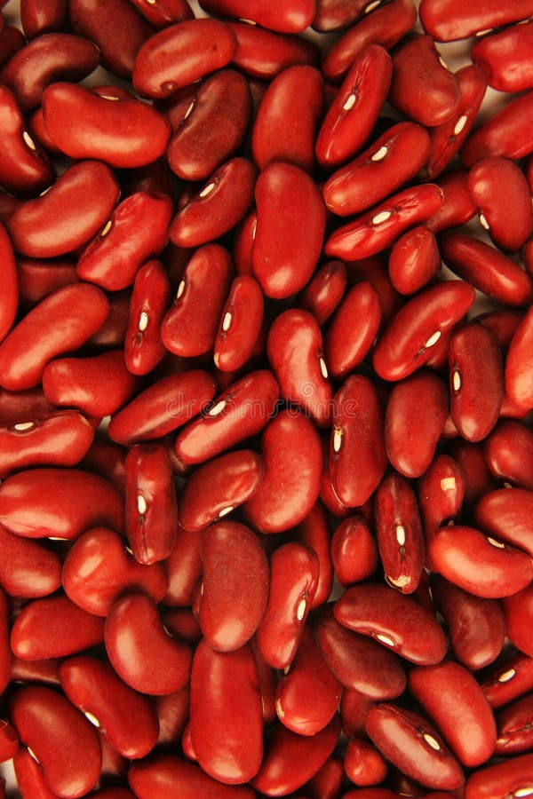 Kidney beans stock photo. Image of vegetarian, organic - 5243422