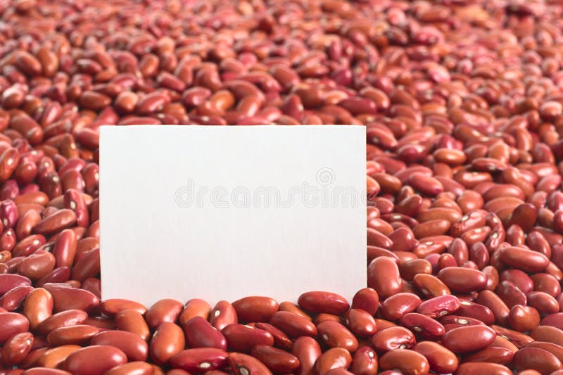 Kidney Beans with Blank Card Stock Photo - Image of bean, blank: 19970176