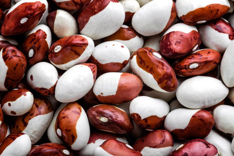 Kidney beans stock photo. Image of background, brown - 83413638
