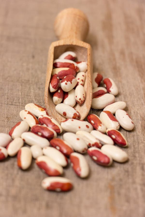 Kidney Beans stock photo. Image of nutrition, organic - 66361130