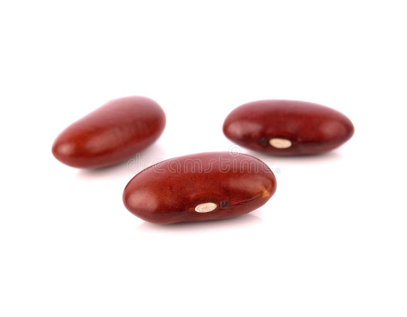 Kidney Beans on White Background Stock Image - Image of macro, seed ...