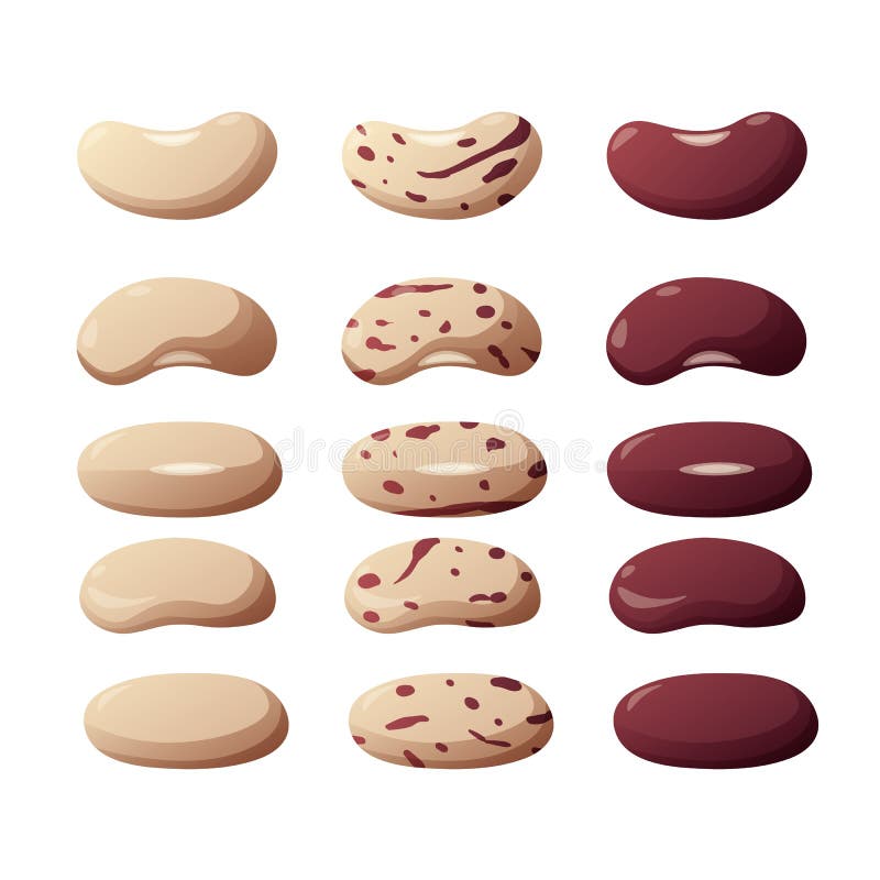 Fresh Kidney Beans Stock Illustrations – 1,077 Fresh Kidney Beans Stock ...
