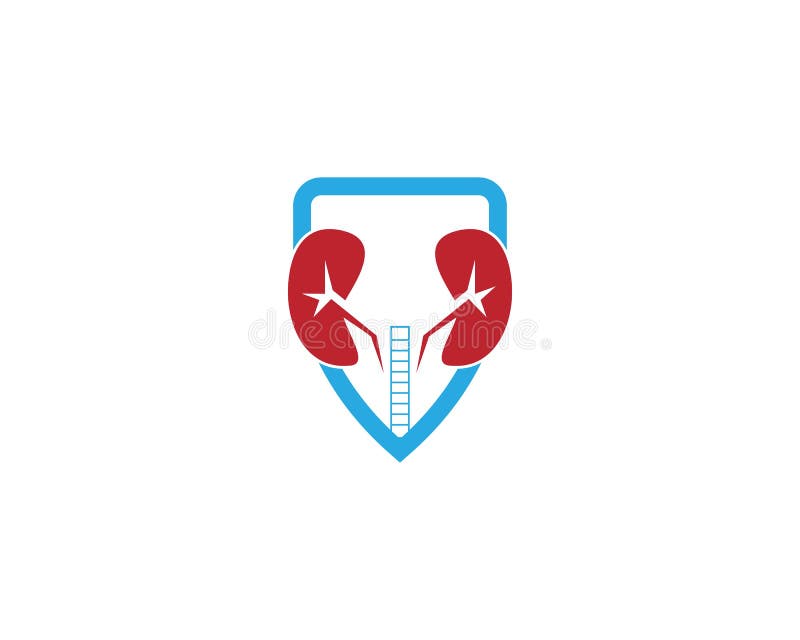 Kidney Care Icon and Symbol Vector Illustration Stock Illustration ...