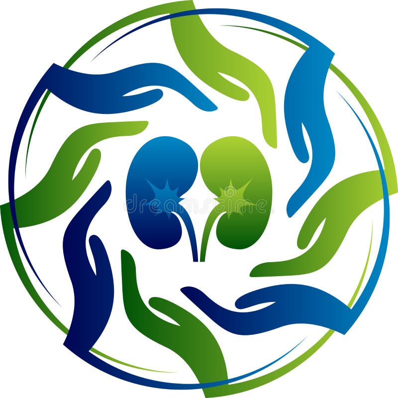 Kidney care logo stock vector. Illustration of design - 52096310