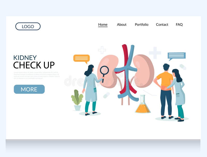 Kidney Check Up Vector Website Landing Page Design Template Stock ...