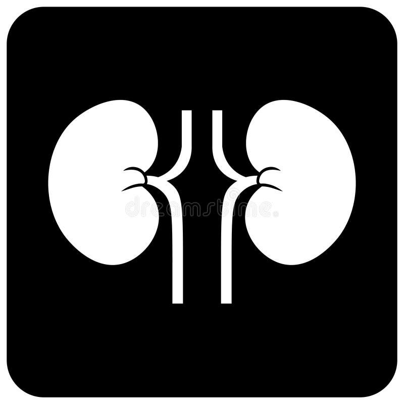 Kidney Icon for Hospitals or Medical Industry. Stock Vector ...