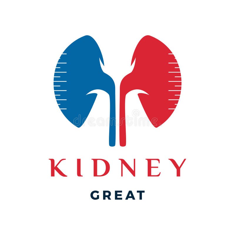 Kidney Icon Logo Design Template Stock Vector - Illustration of human ...