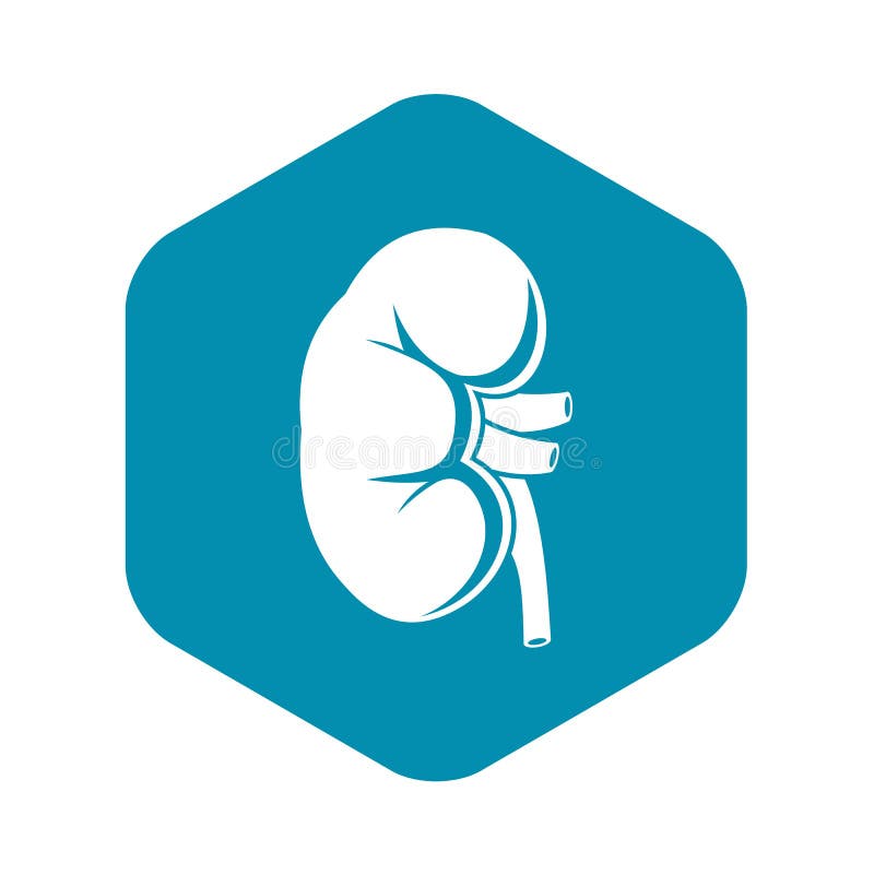 One Kidney Medicine Stock Illustrations – 156 One Kidney Medicine Stock ...