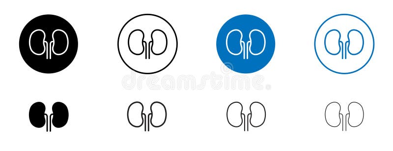 Kidney icon vector stock vector. Illustration of shape - 348077943