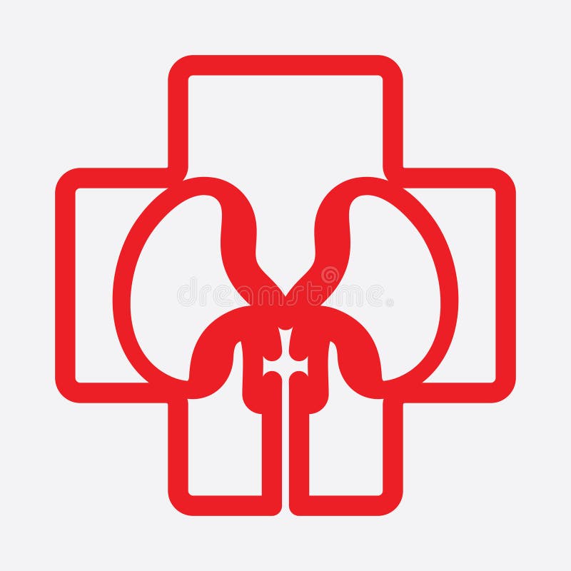 Kidney icon vector stock vector. Illustration of simple - 288841148