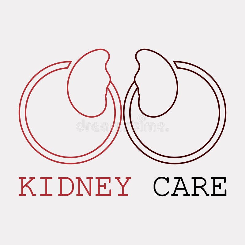 Kidney icon vector stock vector. Illustration of vector - 289659162