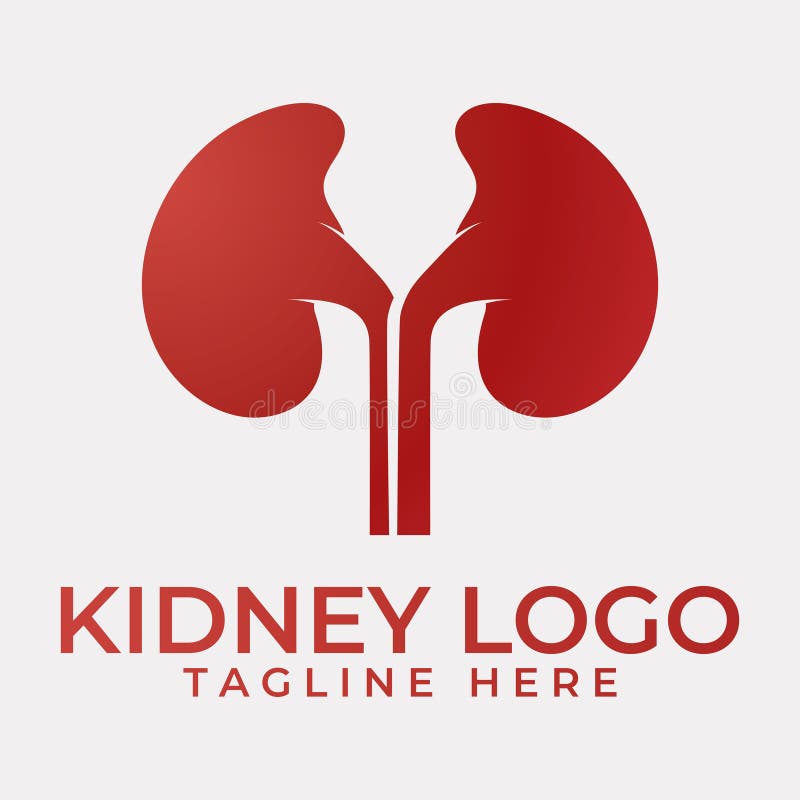 Kidney icon vector stock vector. Illustration of anatomical - 289659171