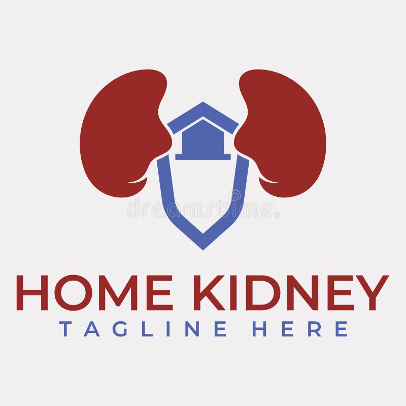 Kidney icon vector stock vector. Illustration of clinic - 289921909