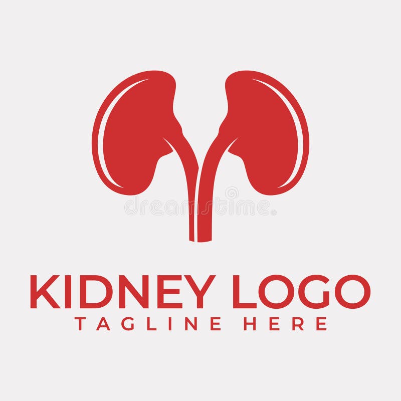 Kidney icon vector stock vector. Illustration of icon - 289659202