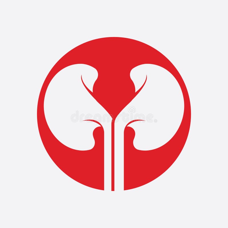 Kidney icon vector stock vector. Illustration of isolated - 288867332
