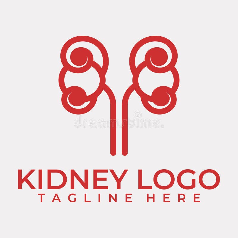 Kidney icon vector stock vector. Illustration of clinic - 289659177