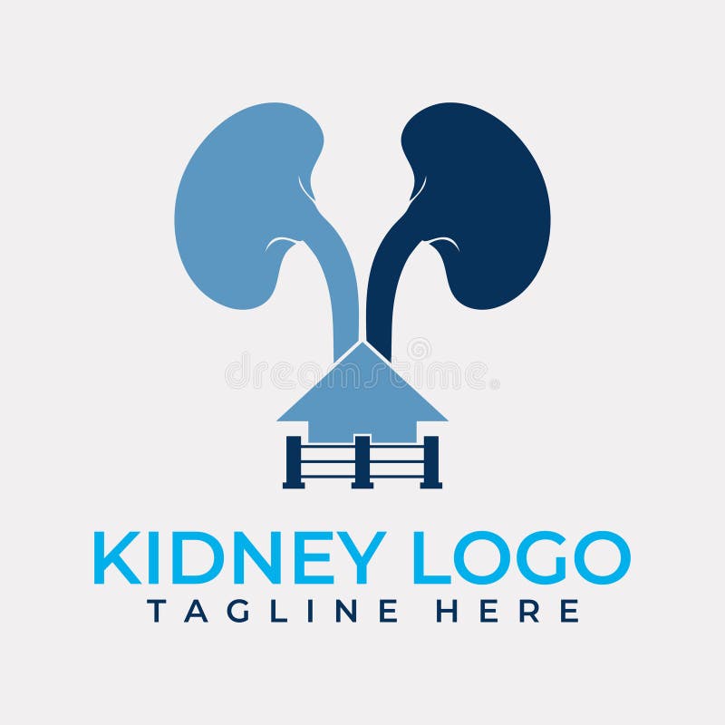 Kidney icon vector stock vector. Illustration of system - 289659186