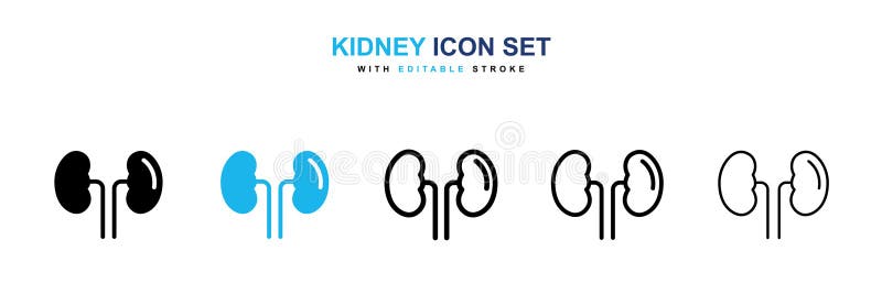 Kidney icon vector stock vector. Illustration of logo - 348441721