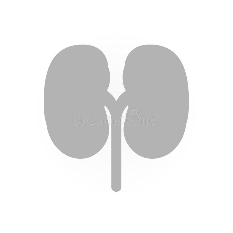 Kidney Icon on a White Background, Vector Illustration Editorial Image ...