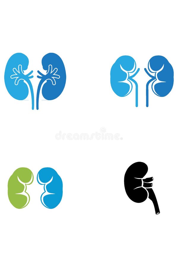 Kidney logo design stock vector. Illustration of symbol - 197715828