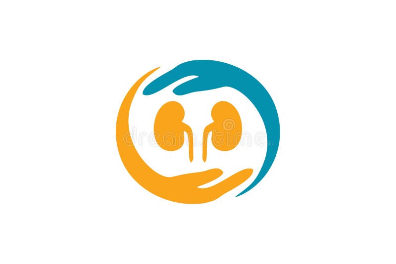 Kidney logo stock vector. Illustration of medical, clip - 19330159