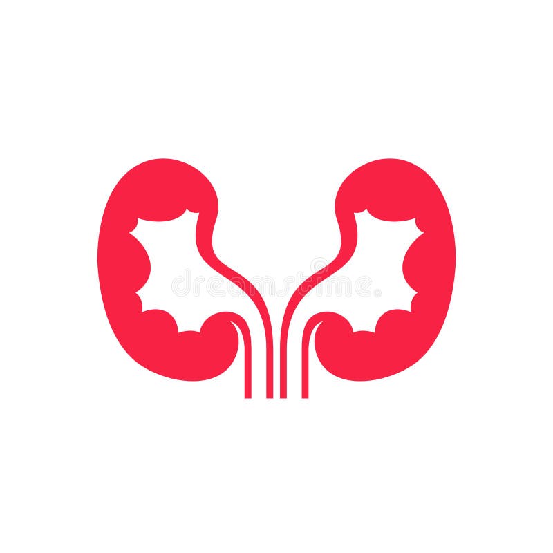 Kidney Logo Design Inspiration Template Vector Stock Vector ...