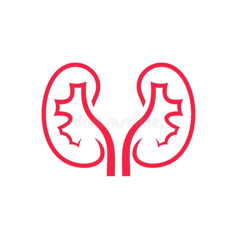 Kidney Logo Design Inspiration Template Vector Stock Vector ...