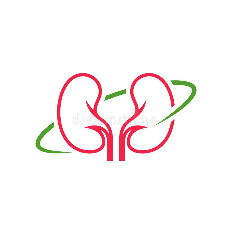 Kidney Logo Design Inspiration Template Vector Stock Vector ...