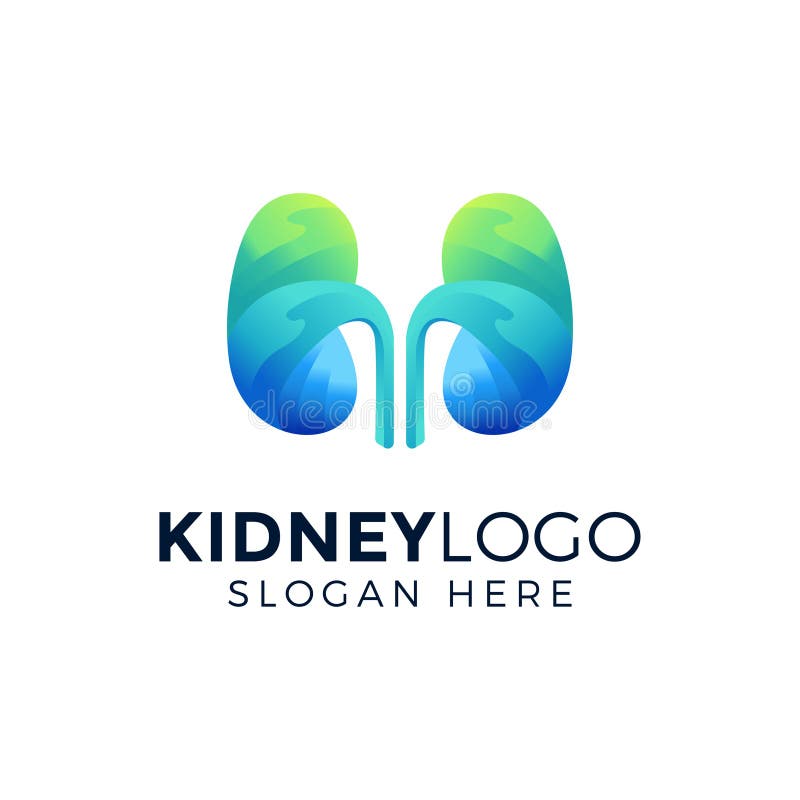 Kidney logo design stock vector. Illustration of hospital - 310374863