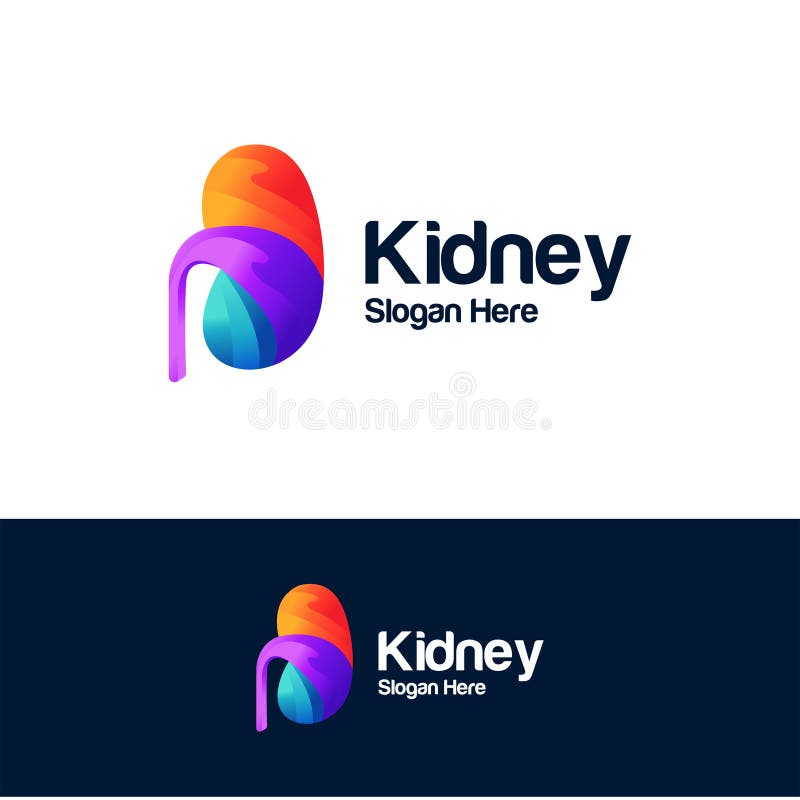 Kidney logo design stock vector. Illustration of graphic - 310374866