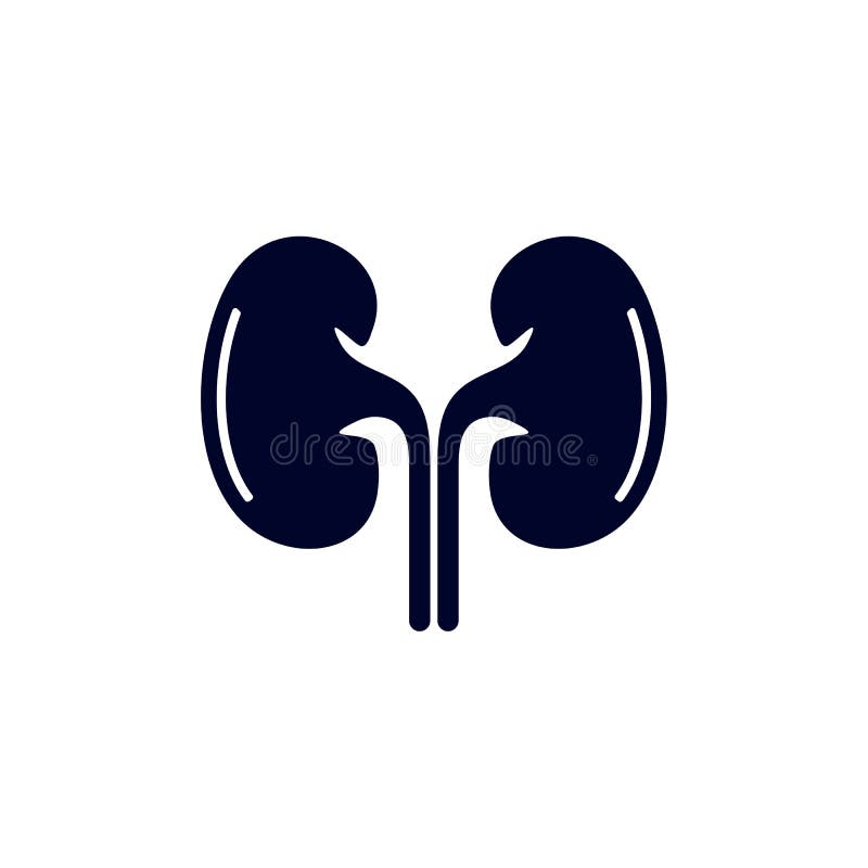 Kidney Logo Design Vector Template, Organs Logo Design Concept, Icon ...