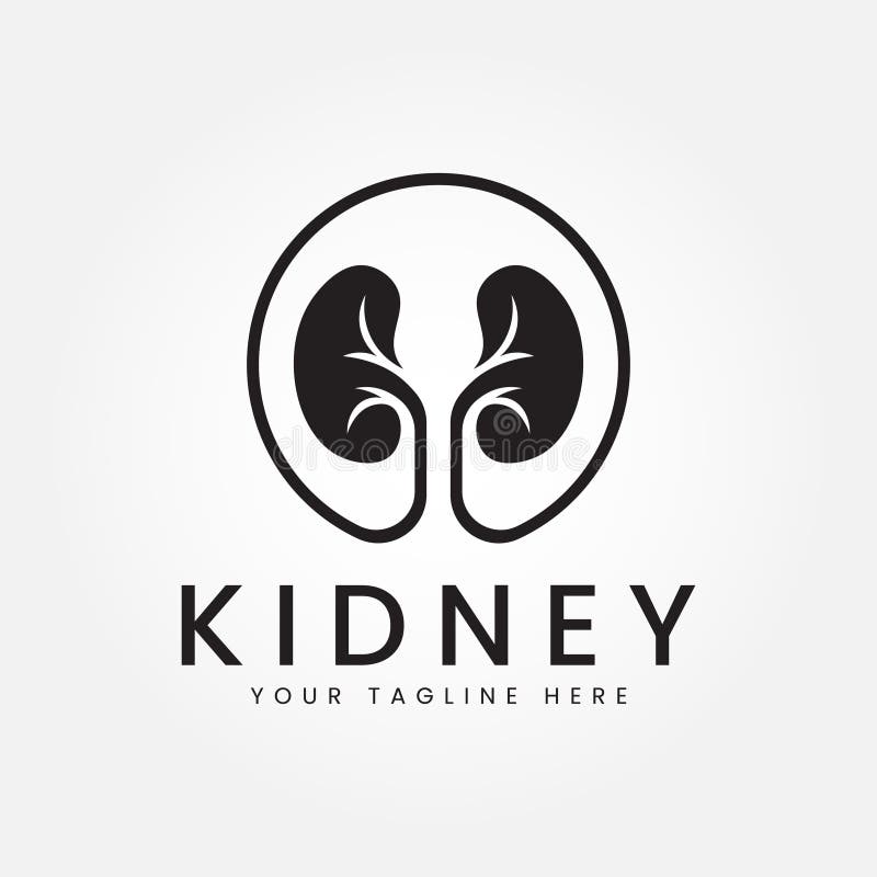 Kidney Logo Designs Concept Vector, Kidney Care Logo Symbol Stock ...