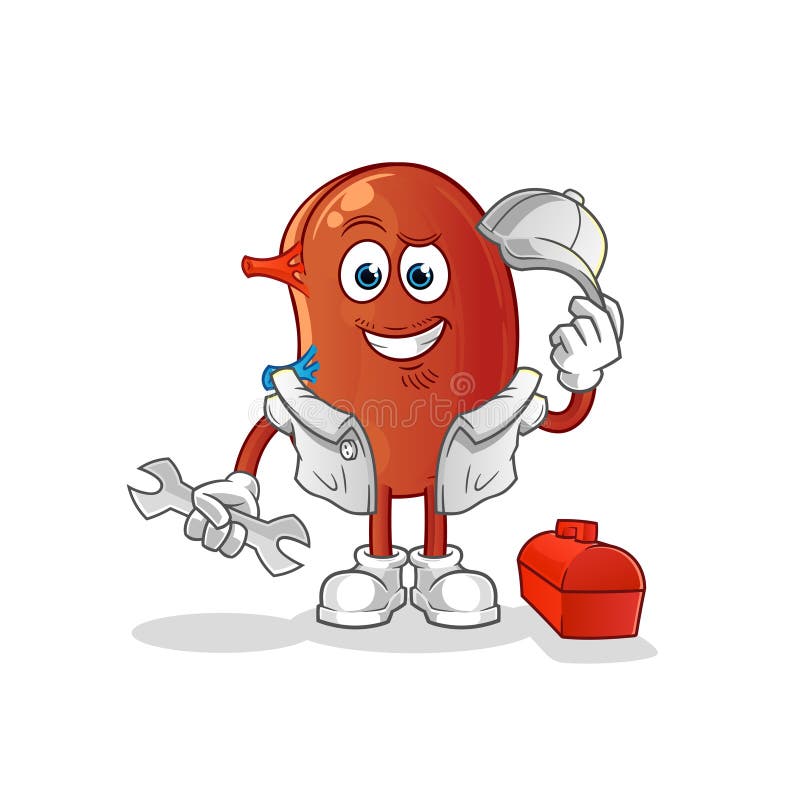 Kidney Mechanic Cartoon. Cartoon Mascot Vector Stock Vector ...