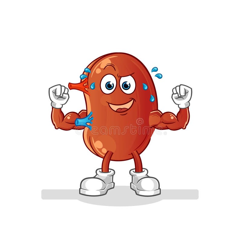 Kidney Muscular Cartoon. Cartoon Mascot Vector Stock Vector ...